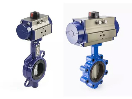 Lugged Vs Wafer Butterfly Valve - FLOWX Valve
